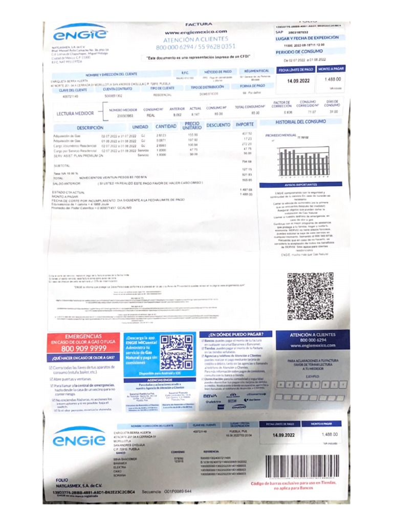 Documentos Escaneados | PDF