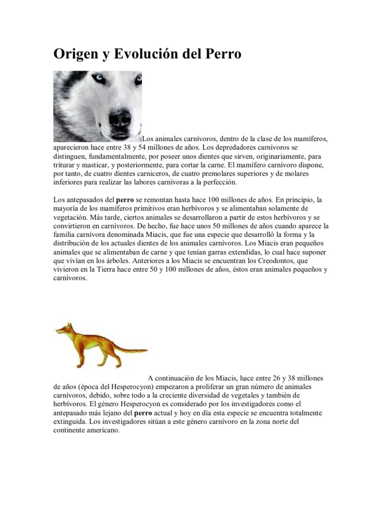 Origen y Evolución Del Perro | PDF | Perros | Lobo gris