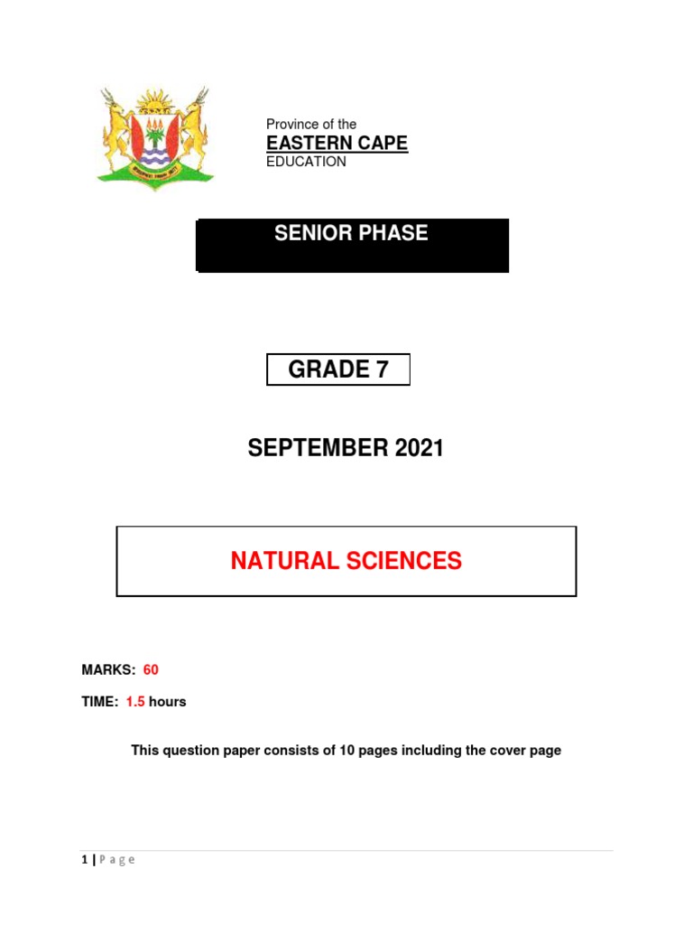 2021 Grade 7 NS Term 3 Exemplar Test | PDF | Heat Transfer | Insulator ...