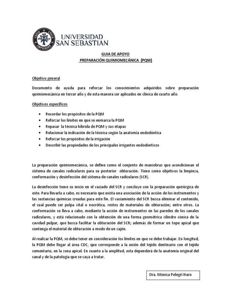 Guia de Apoyo PQM USS | PDF