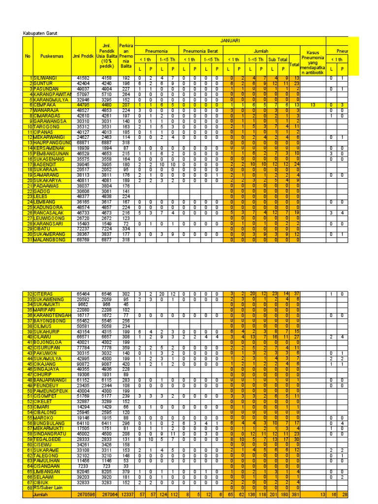 Indikator ISPA Baru Jawa Barat - Garut - PKM 2022 | PDF