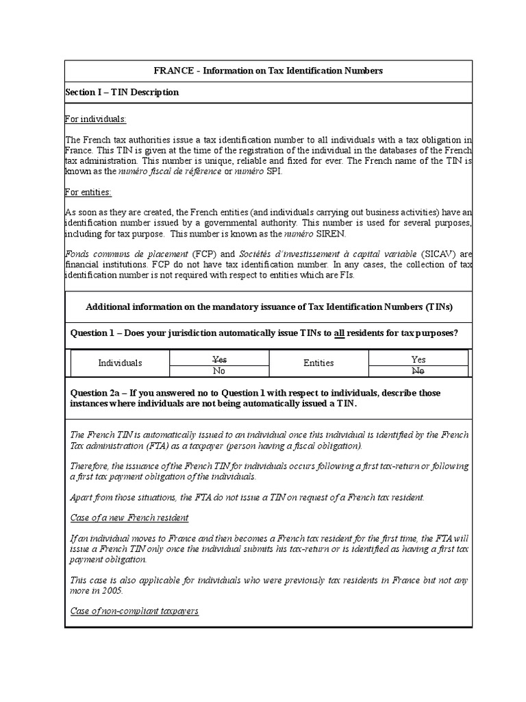 France TIN | Download Free PDF | Taxes | Identity Document