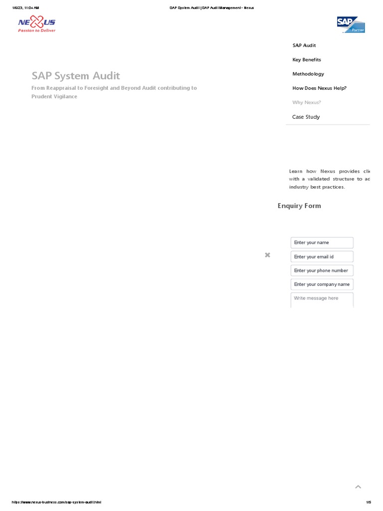 Sap System Audit Sap Audit Management Nexus Pdf Audit Business