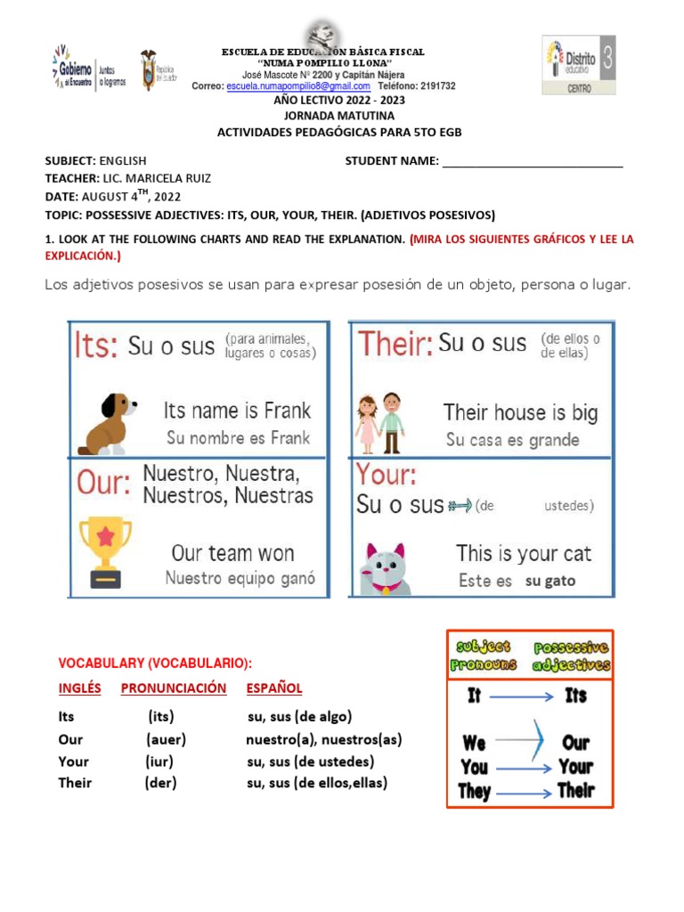 Ejercicios de Adjetivos Posesivos 5to EGB | PDF | Estudios de idiomas ...