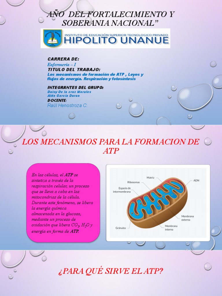 8VA CLASE - Los Mecanismos de Formación de ATP, Leyes y Flujos de Energía. Respiración y ...