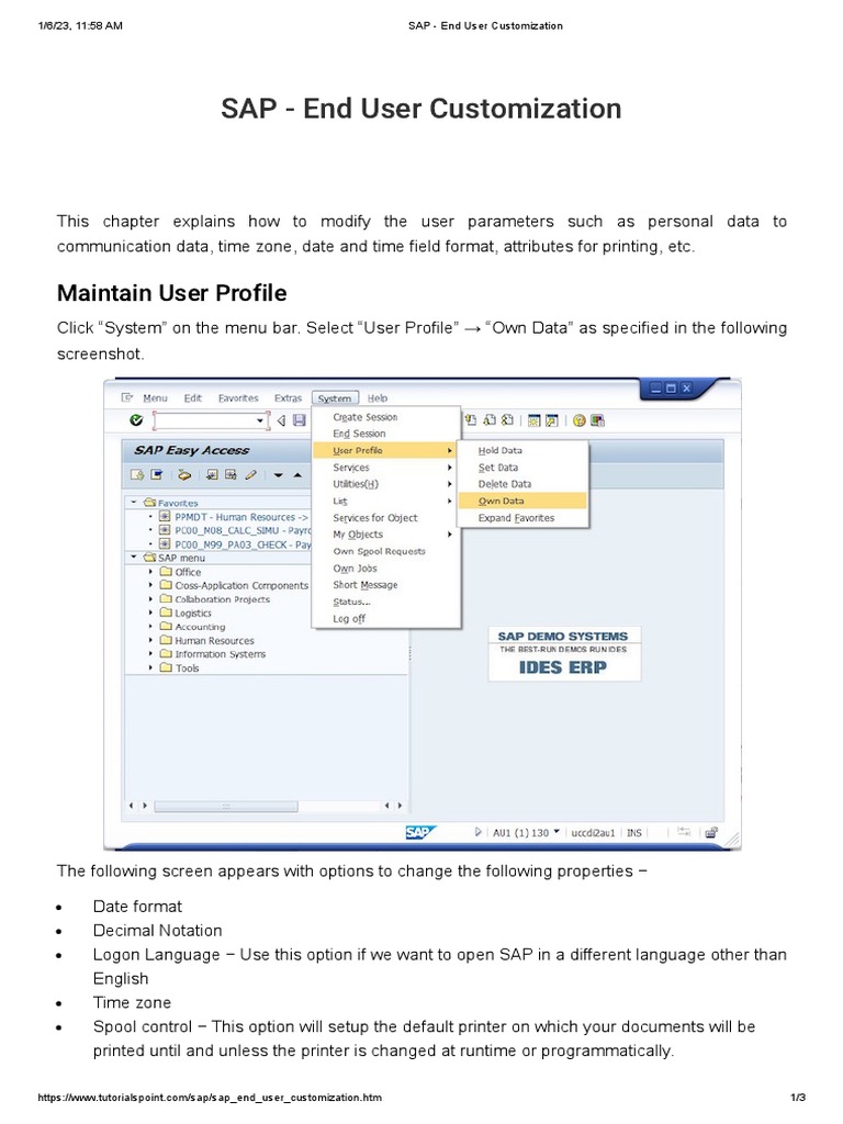 Sap End User Customization Pdf