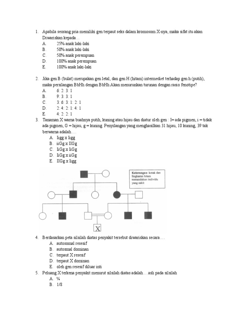 Latihan Soal Genetik 8 April | PDF