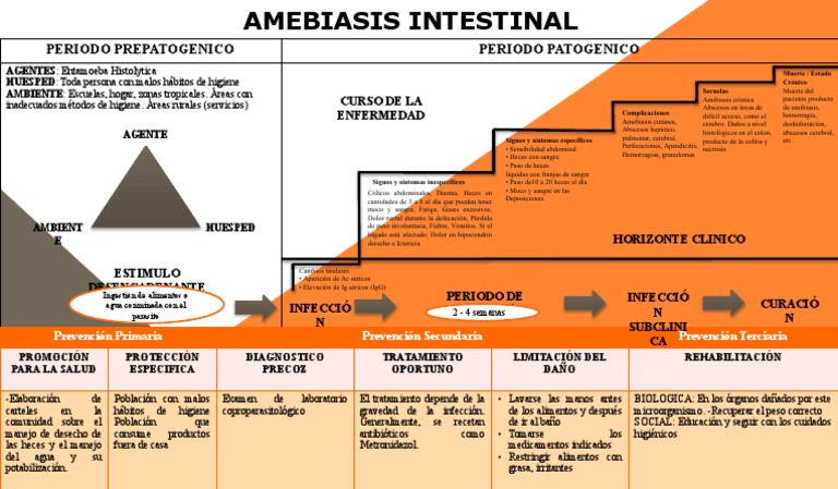 Amebiasis Intestinal | PDF | Heces | Especialidades Medicas