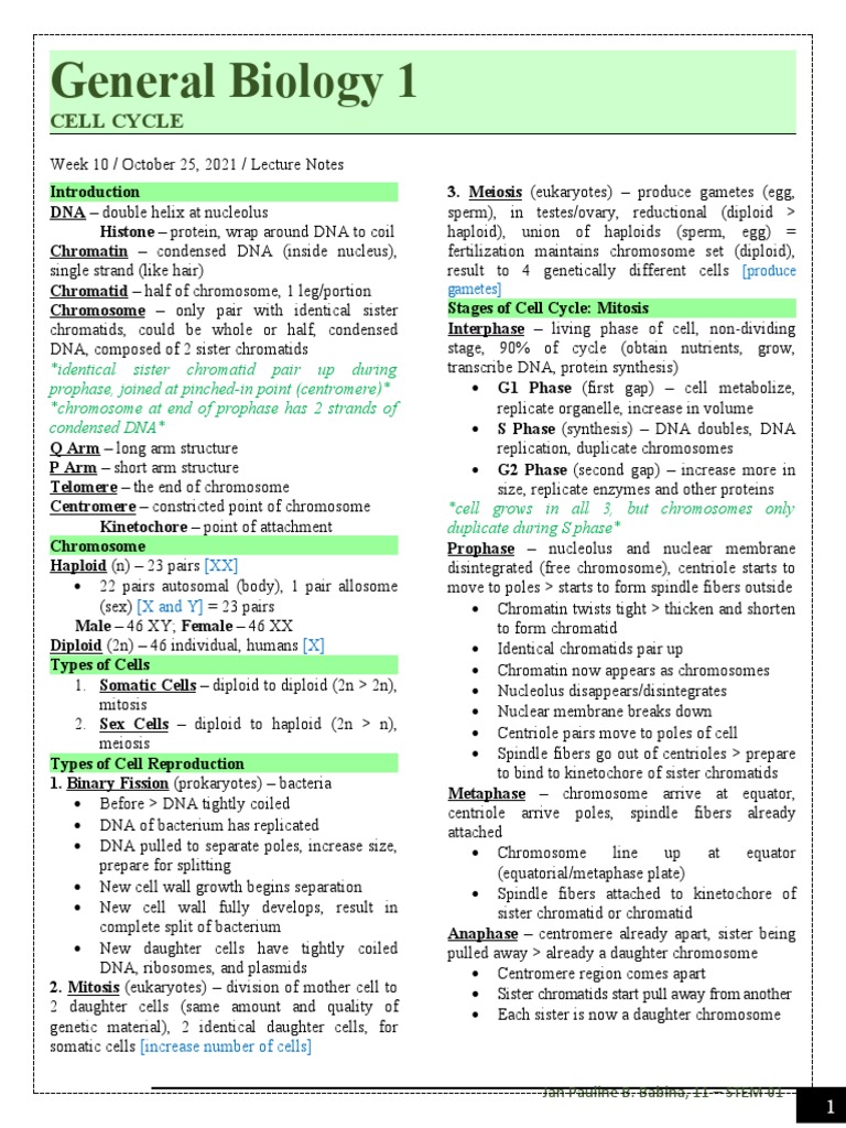 Week 10 - GenBio1 CELL CYCLE 1st Term SY 2021-2022 | PDF | Meiosis ...