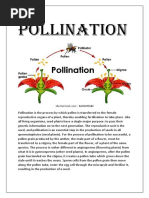 Biology Project (Sexual Reproduction in Flowering Plants) | PDF | Flowers | Pollination