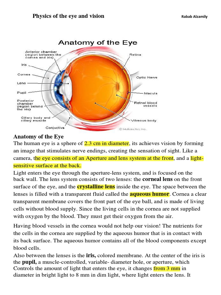 Physics of Eye Anatomy and Vision | PDF | Eye | Cornea