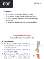 Membrum Superius (Forearm - Hand) | PDF | Thumb | Limbs (Anatomy)
