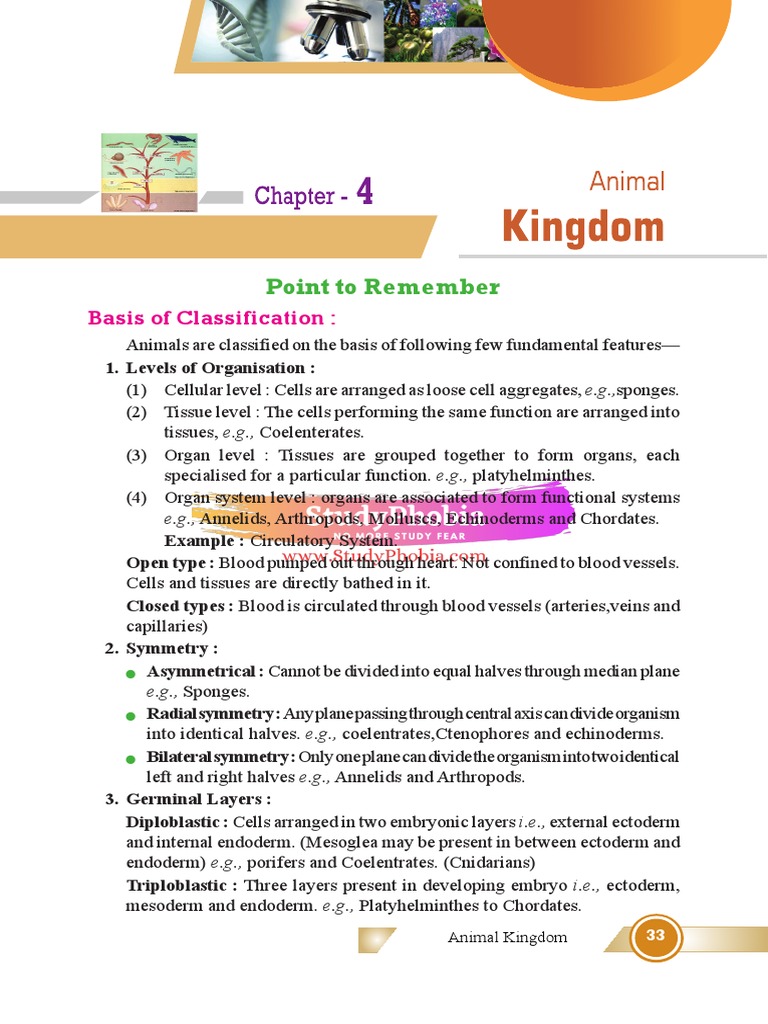 Animal Kingdom | PDF | Anatomy | Biology