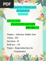 Class 12 Hindi Project 2024-25 | PDF