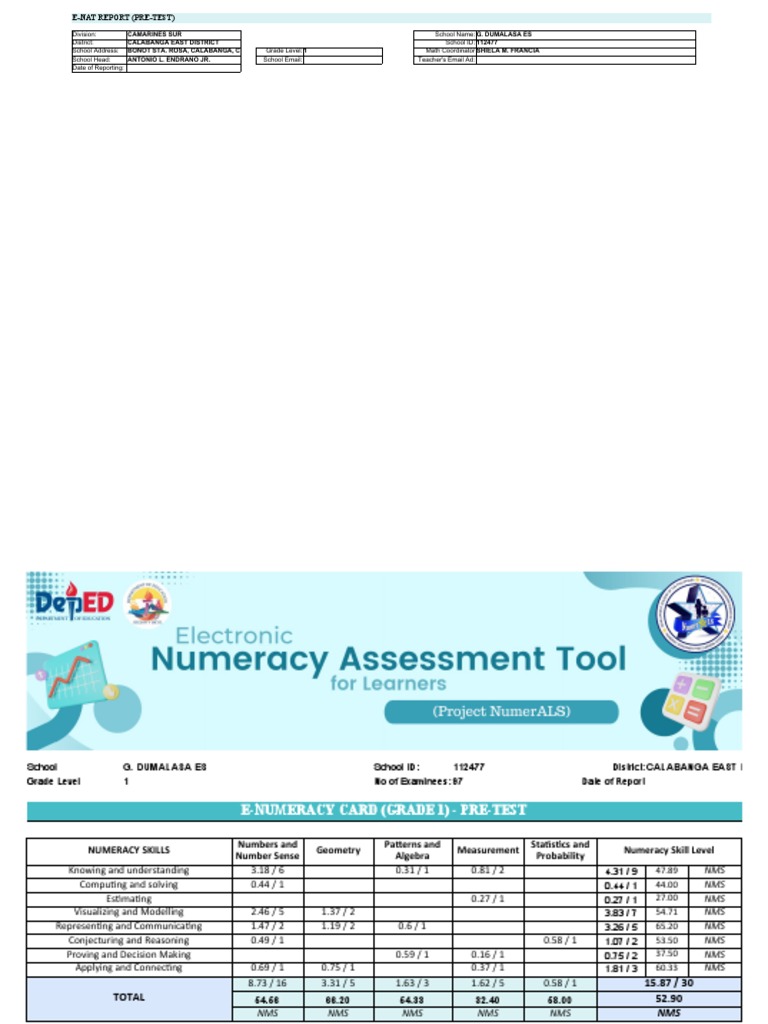 Grade 1 E-NAT Numeracy Pre-Test Report | PDF