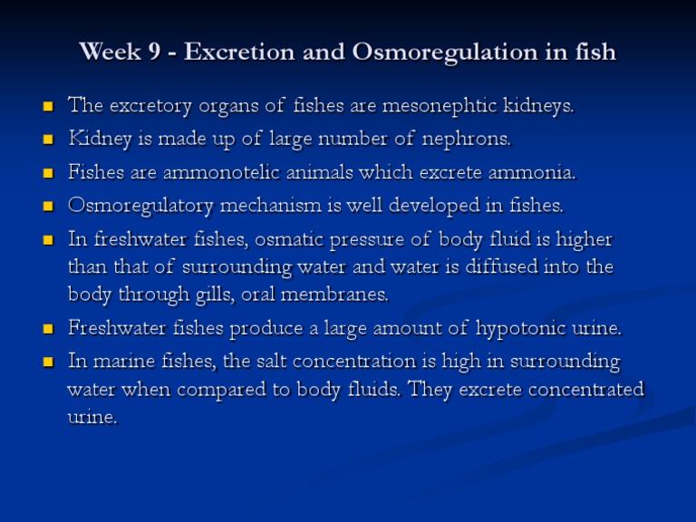 09-Excretion and Osmoregulation in Fish | PDF