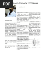 Fórmulas Dentarias | PDF | Diente | Ramas de Odontología