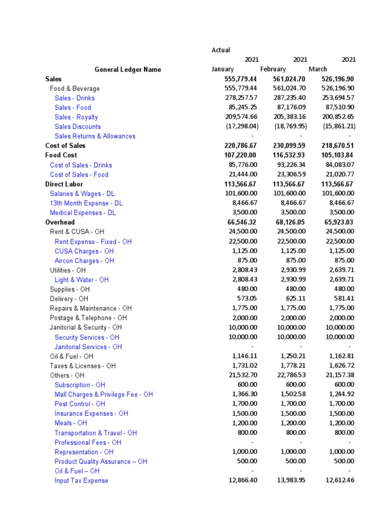 Case Study Project Income Statement Budgeting | PDF | Expense ...