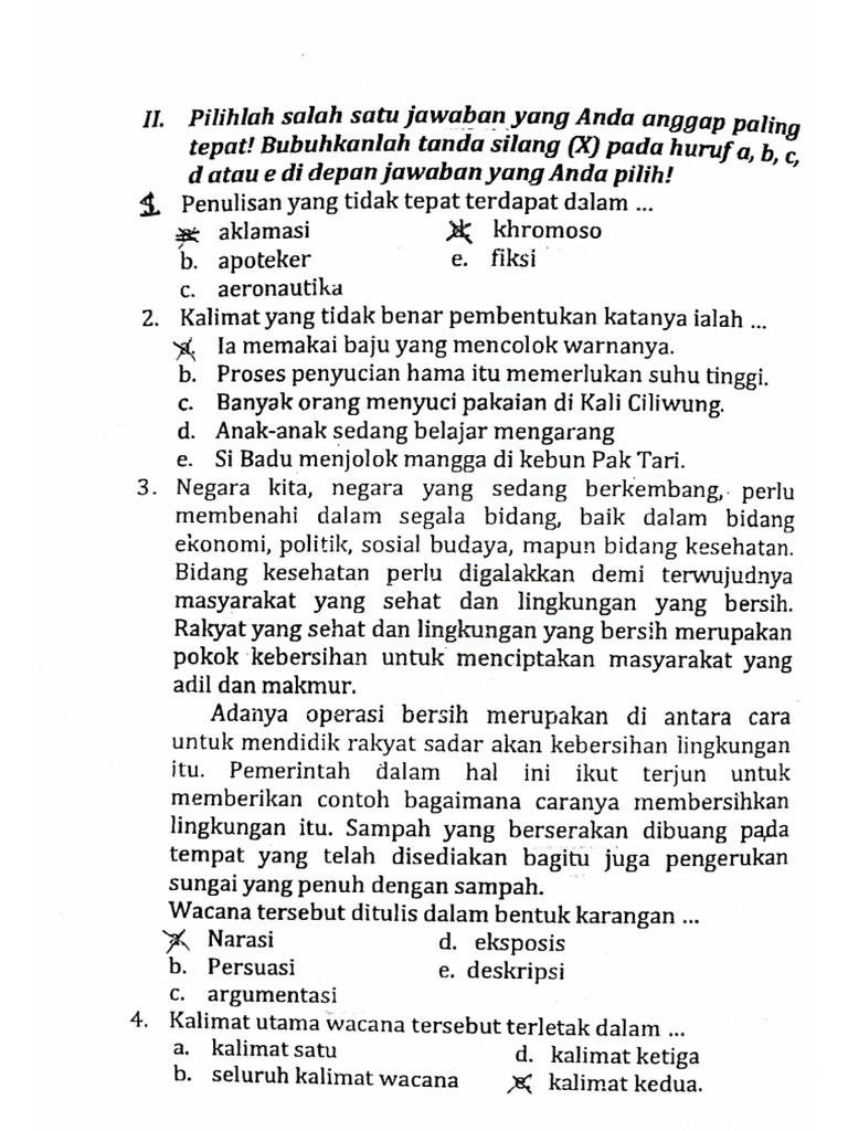 Sitti Amalia - Tgs Bhs Indo | PDF