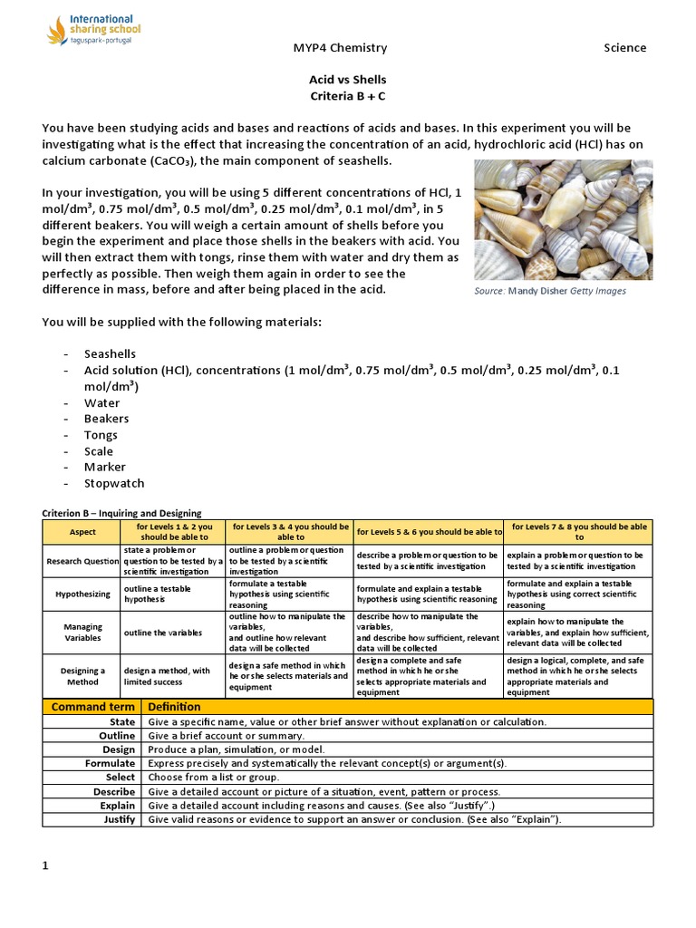 Acid Vs Shells | Download Free PDF | Scientific Method | Hypothesis