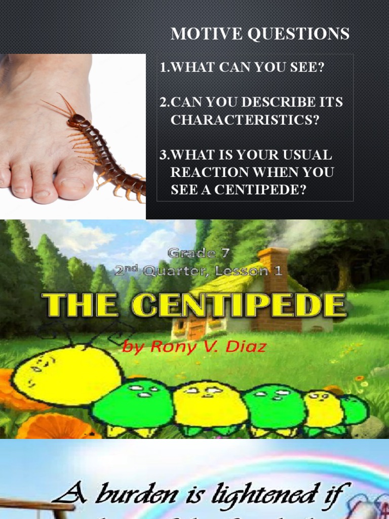 Motive Questions Centipede Story | PDF