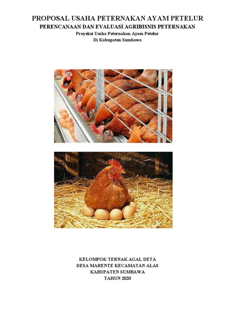Proposal Ayam Petelur Kelompok Agal Deta Ok | PDF