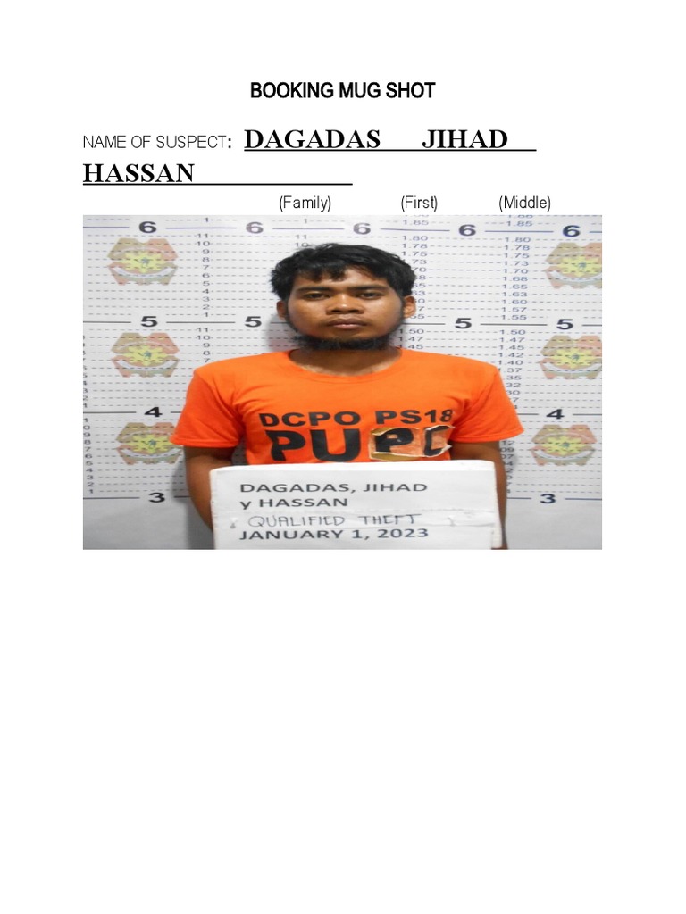 Mugshot (Theft) | PDF