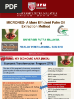 FFB Grading | PDF | Fruit | Palm Oil