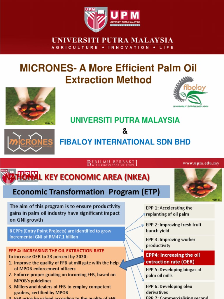 Efficient Palm Oil Extraction Method | PDF | Business | Technology ...