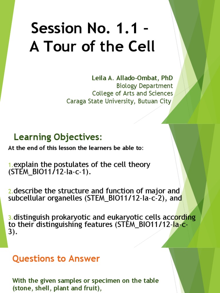 Session No 1.1. A Tour of The Cell | PDF | Cell (Biology) | Eukaryotes