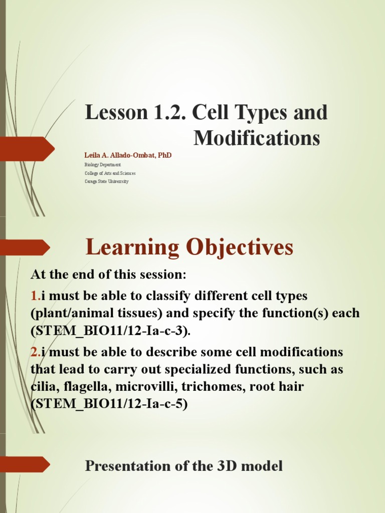 Session No. 1.2. Cell Types and Modifications | PDF | Tissue (Biology) | Microscopy