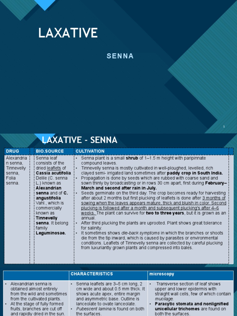 Laxative Senna | PDF | Leaf | Plant Stem