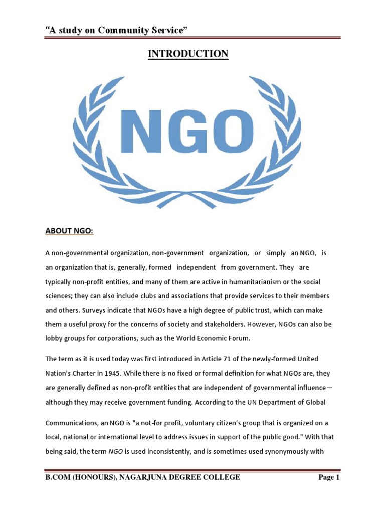 Community Service 2 | PDF | Non Governmental Organization