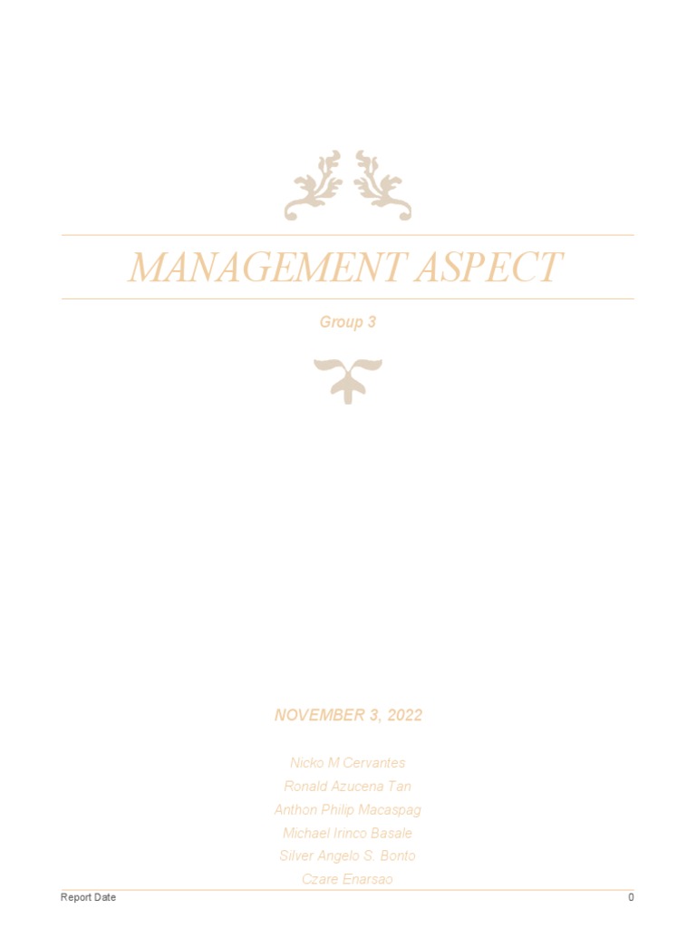 Management Aspect | Download Free PDF | Personal Computers | Desk