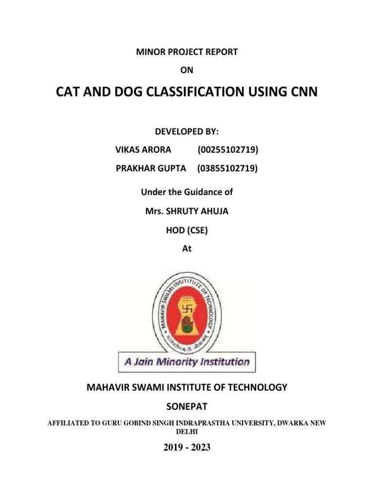 Cat and Dog Classification Using CNN Fin | PDF | Deep Learning ...
