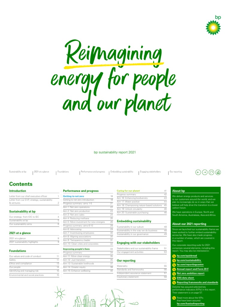 bp-sustainability-report-2021 | PDF | Bp | Low Carbon Economy