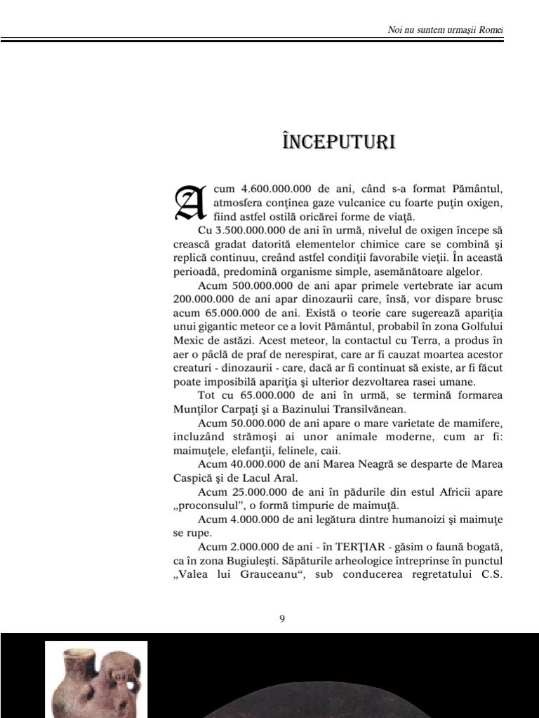 1-01. Inceputuri | PDF