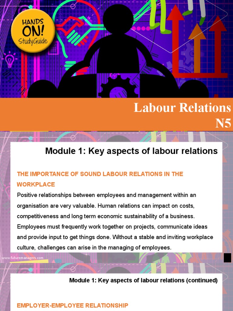 N5 Labour Relations | PDF | Employment | Labour Law