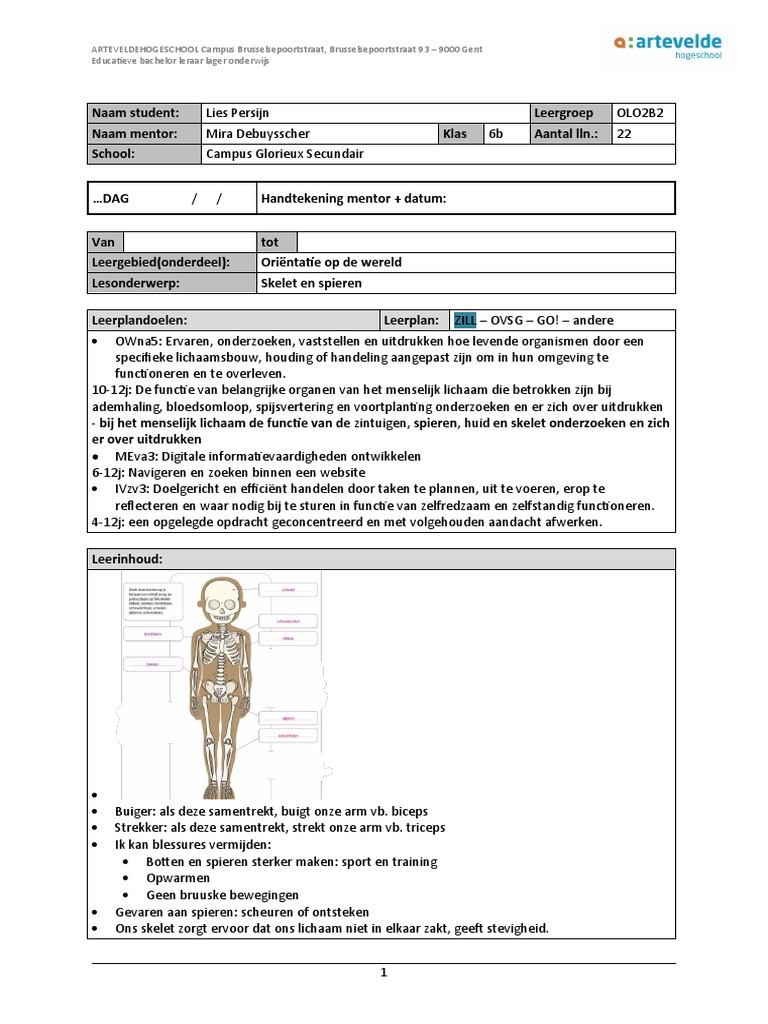 LVB Skelet en Spieren | PDF