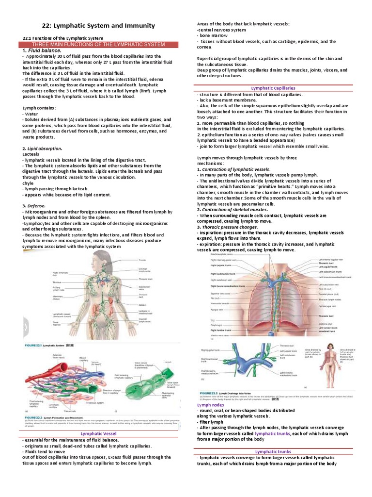 Overview of the Lymphatic System | PDF | Lymphatic System | Lymph Node