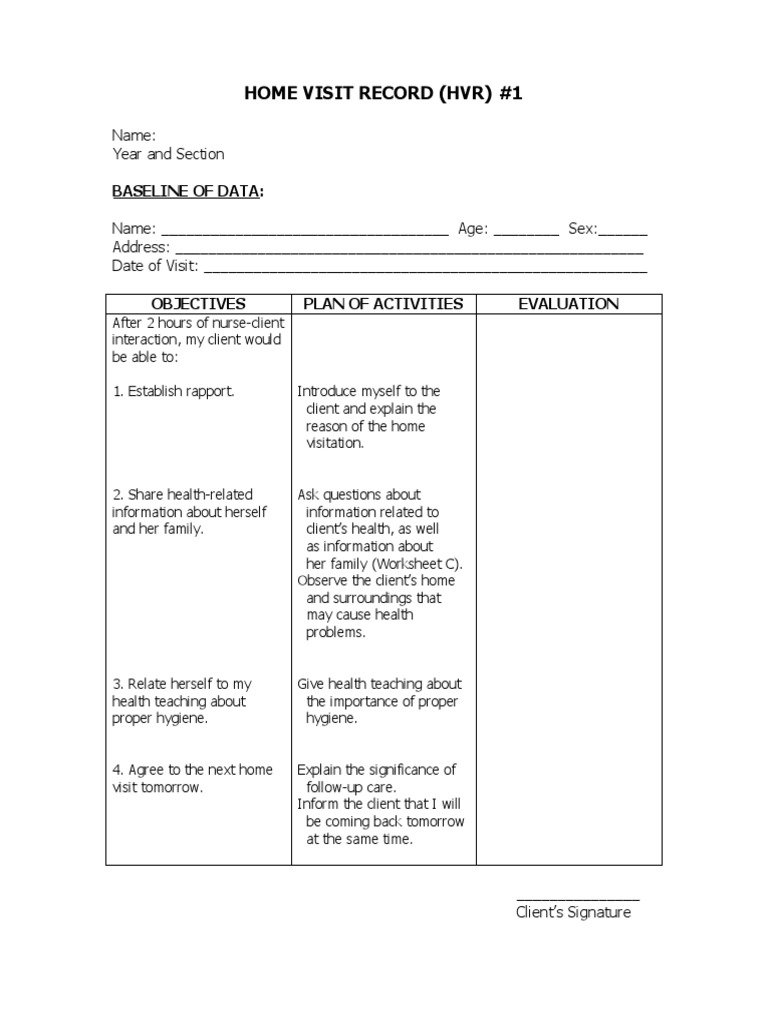 Home Visit Record Form 2 1 | PDF