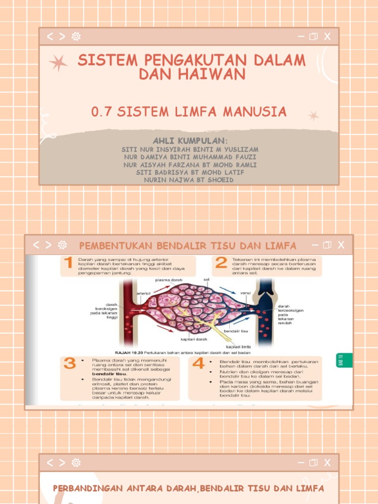 Biologi 10.7 Sistem Limfa | PDF