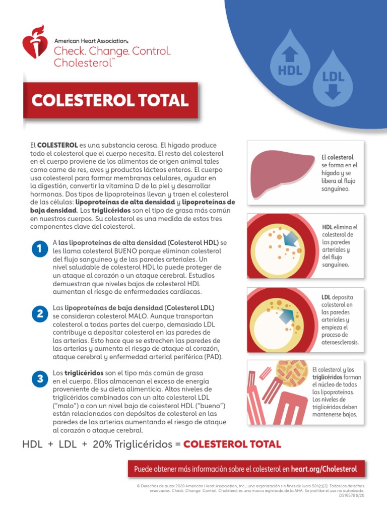 Cholesterol Score Explained Spanish | PDF | Lipoproteína | Colesterol
