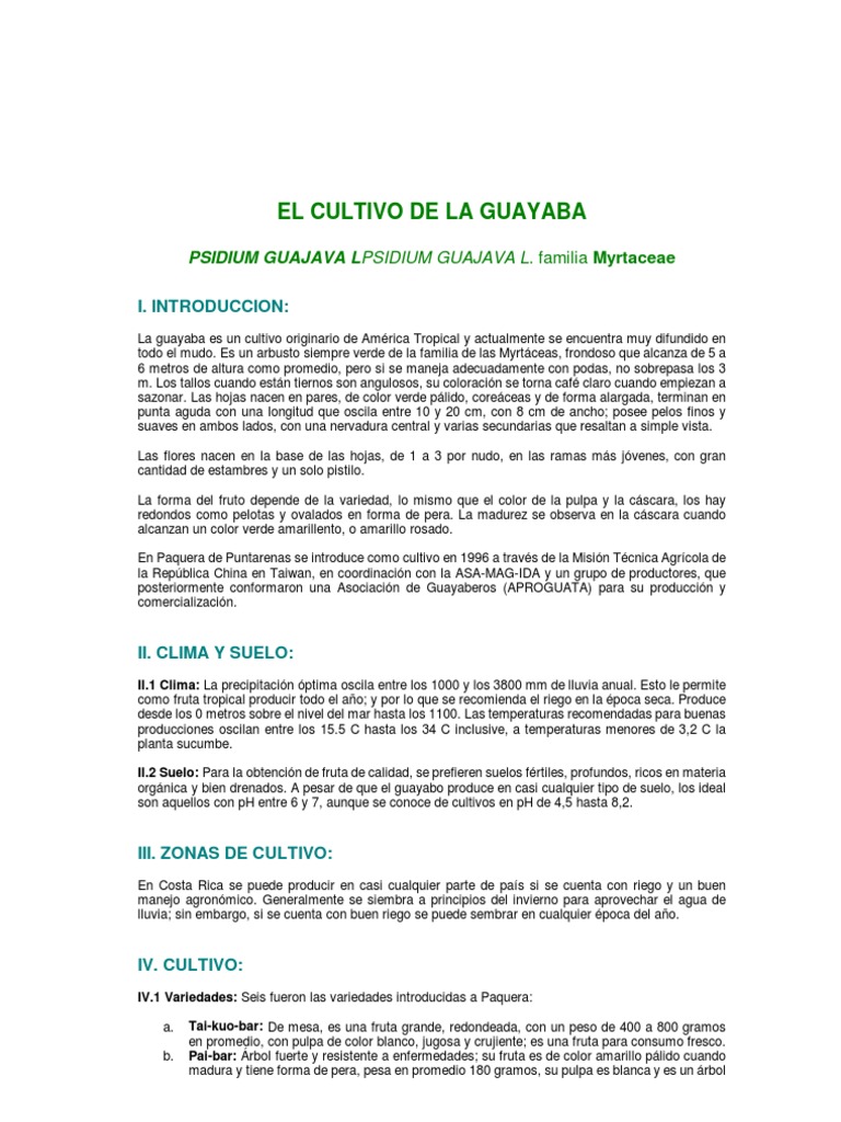 Guayaba - Guia Tecnica | PDF | Injerto | Fertilizante