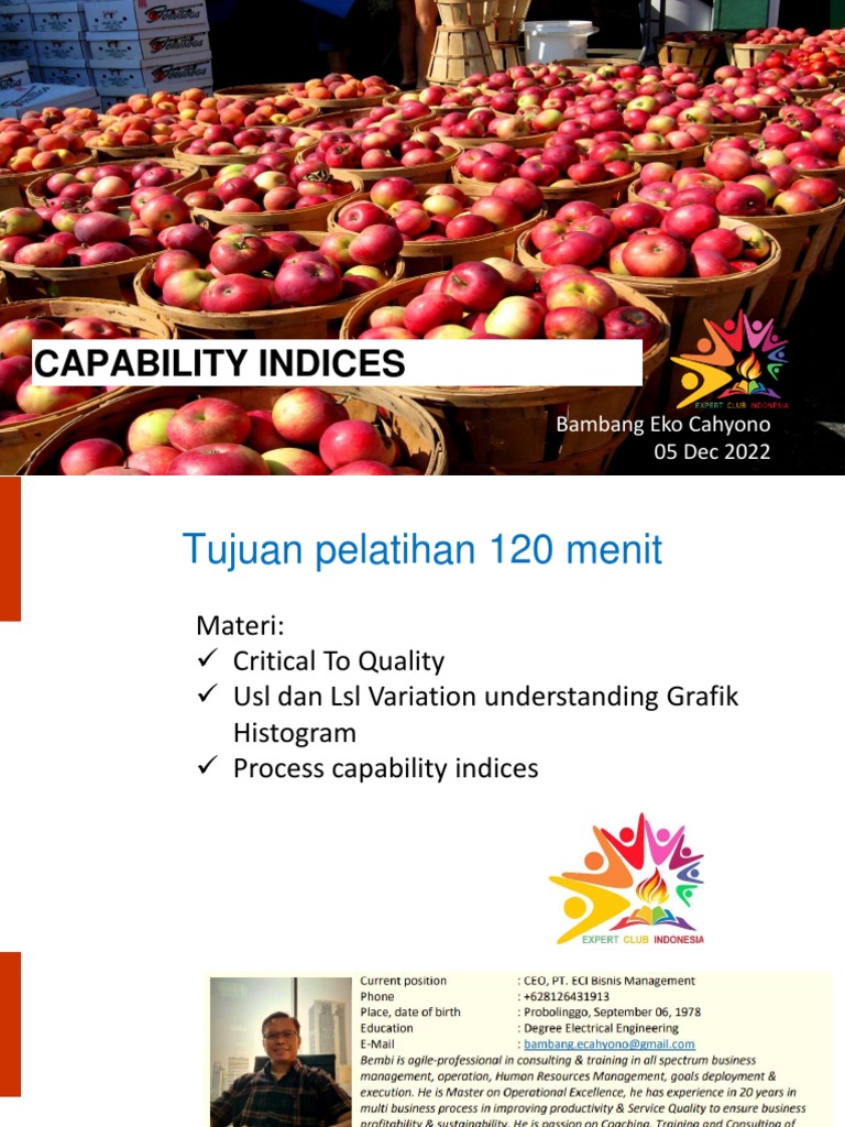 Process Capability - Indices - Eci - 05 Dec 2022 | PDF