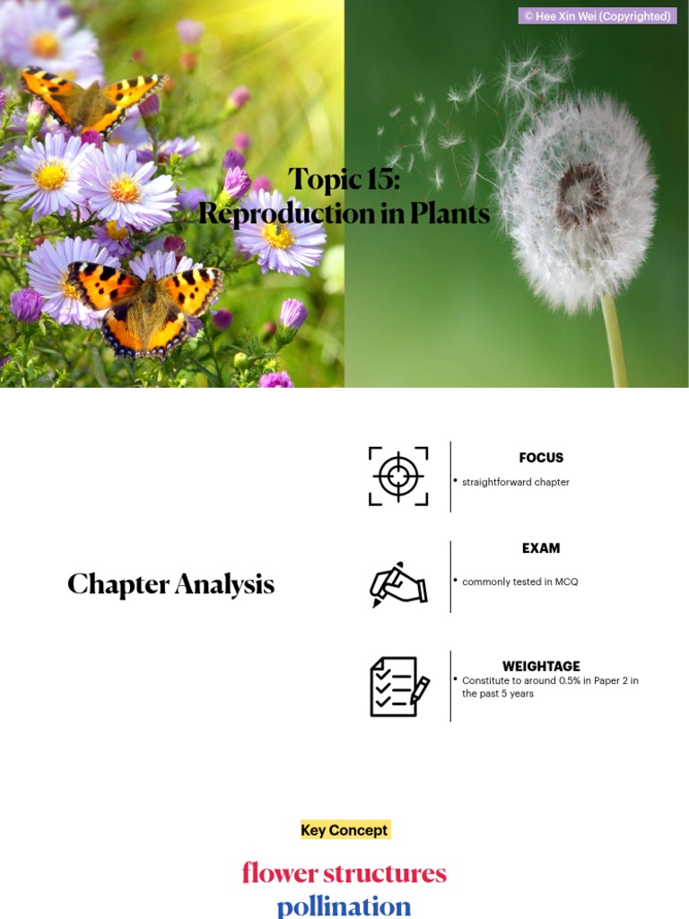 (BIO) Chapter 15 - Reproduction in Plants | PDF | Flowers | Pollination