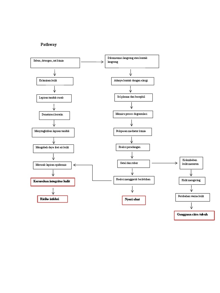 Pathway Dermatitis | PDF
