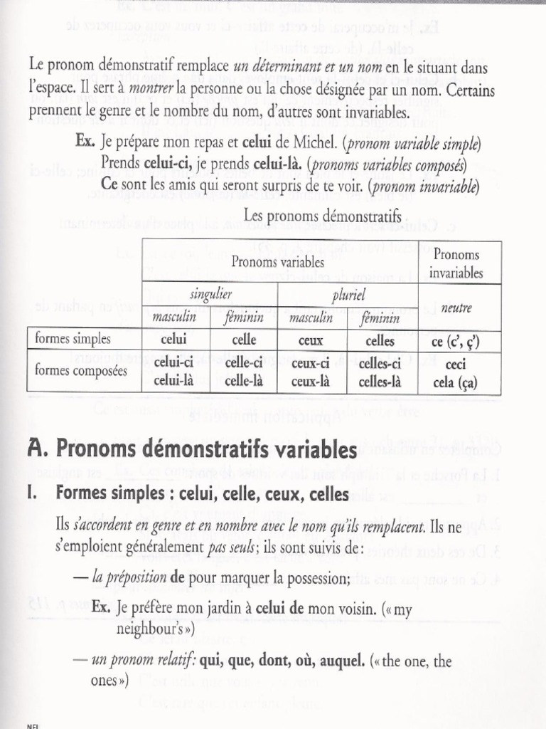 Les Pronoms Demonstratifs | PDF