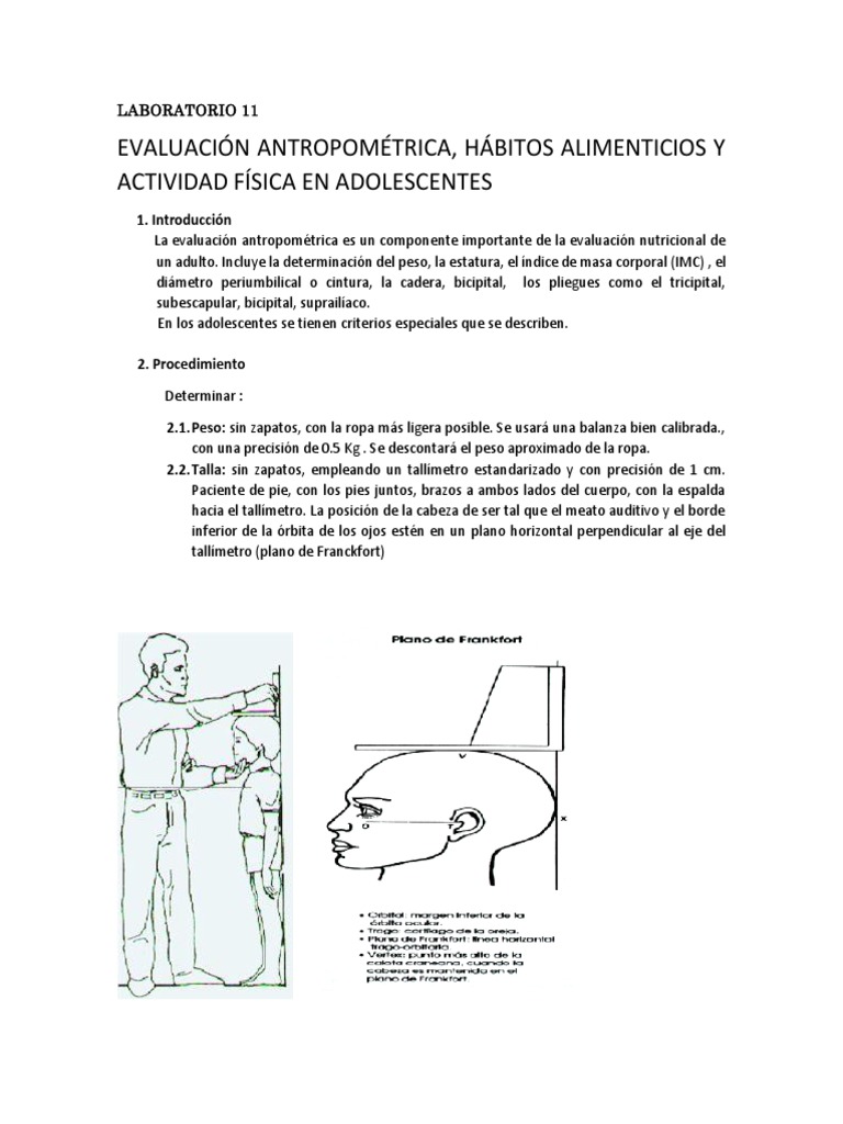 BIOCA-s12 - Lectura - Laboratorio 11 | PDF | Alimentos | Caloría