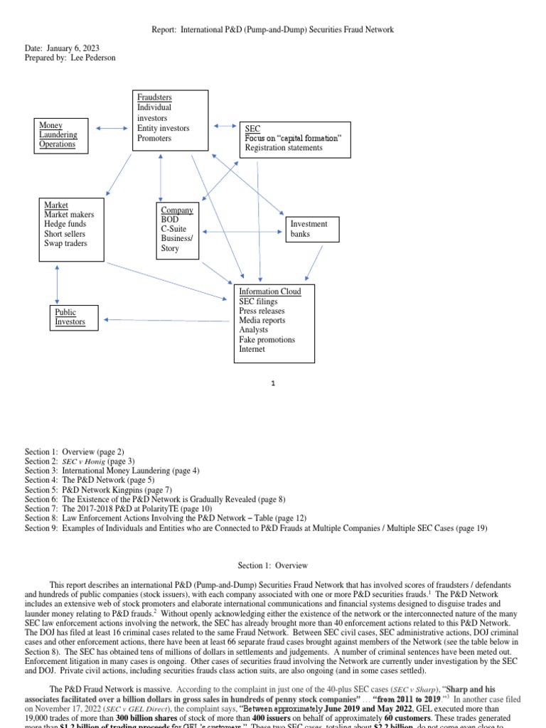 Pederson Report - International Securities Fraud Network | Download Free PDF | U.S. Securities ...